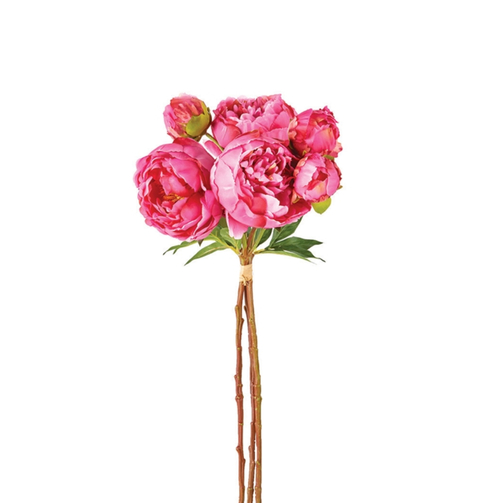 Peonies Bundle 21", Set of 3 – Alexandra Rae Home